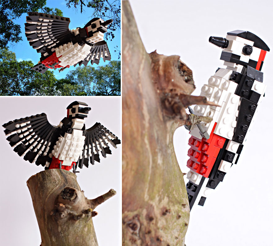 Vogels van Lego. Lego vogels.
